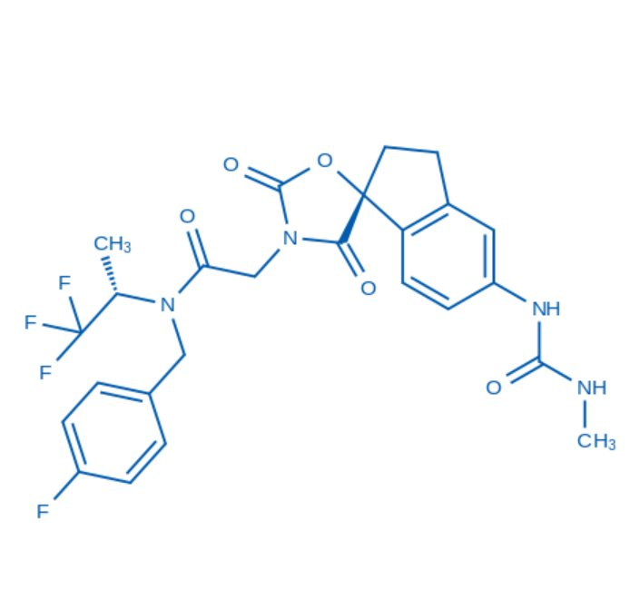 A 485（货号：A2658）