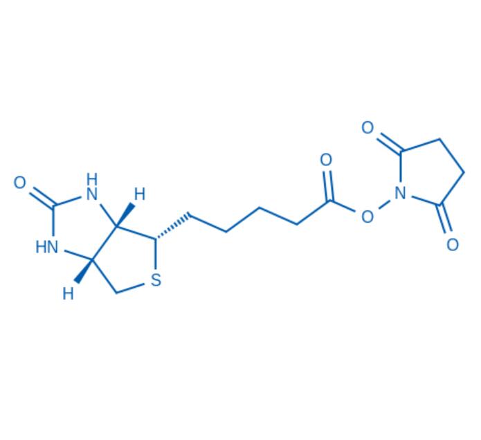 Biotin NHS（货号：B0452）