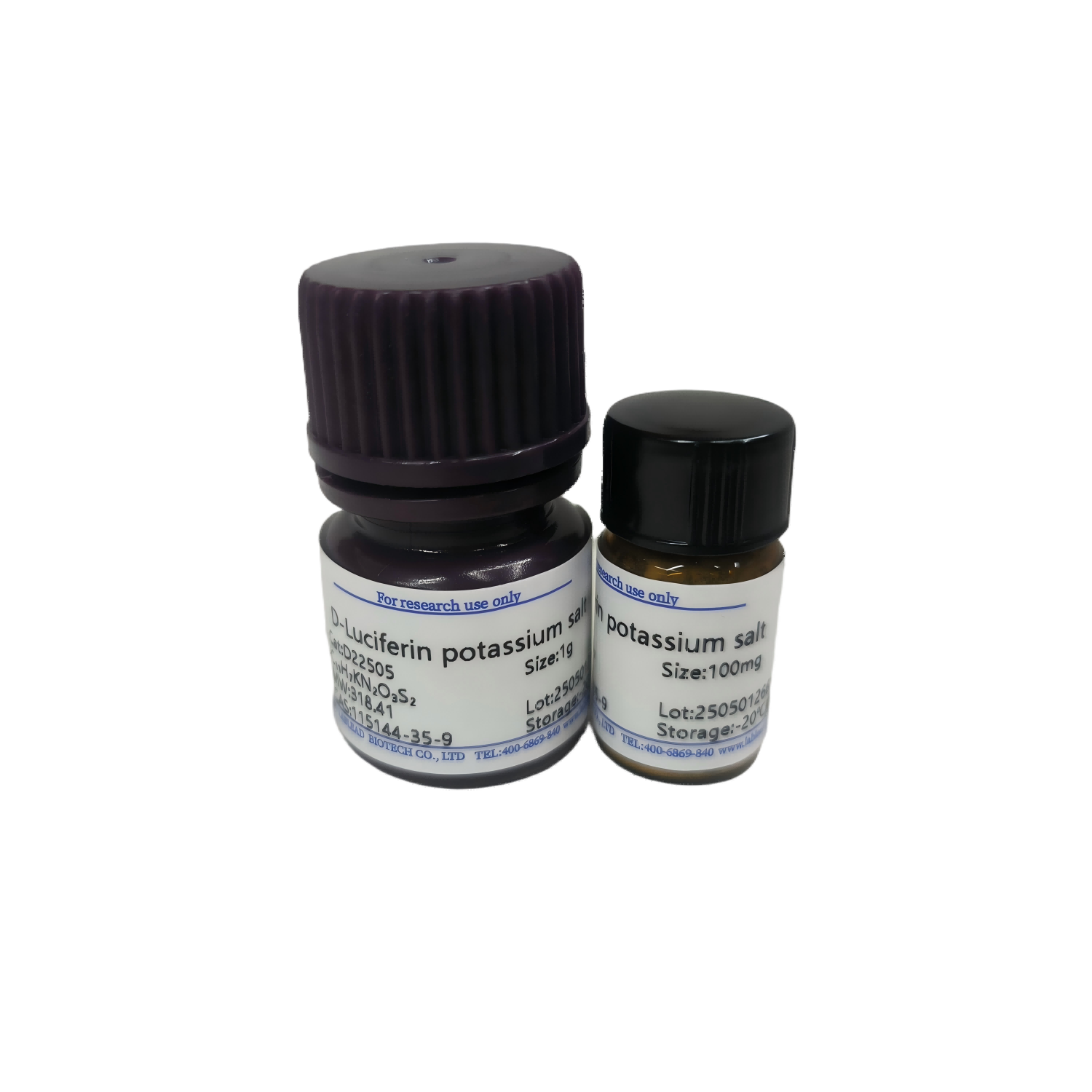D-虫荧光素钾盐/D-Luciferin potassium salt （货号：D22505）