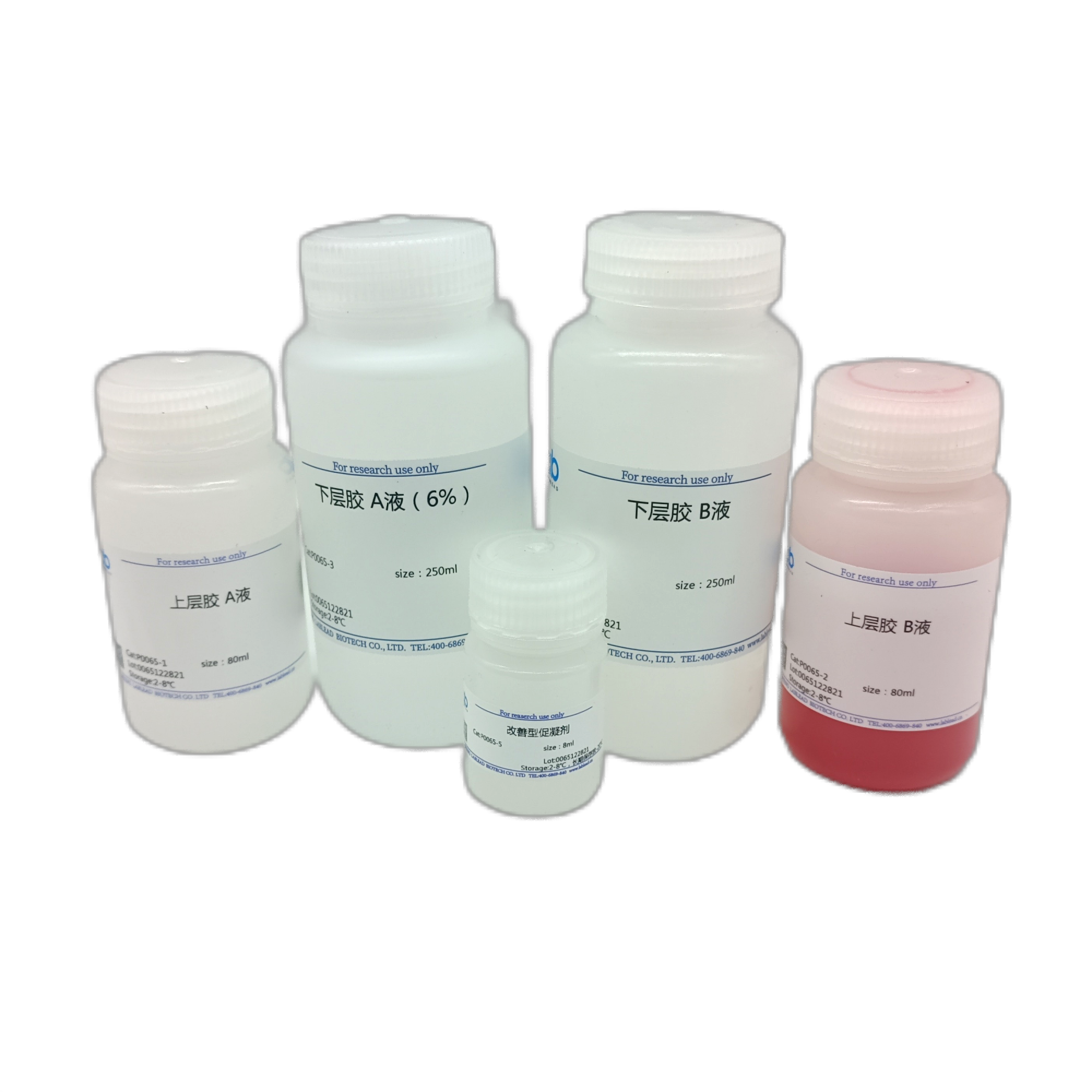 One-Step AB buffer SDS-PAGE Quick kit 6％（CAT：P0065）